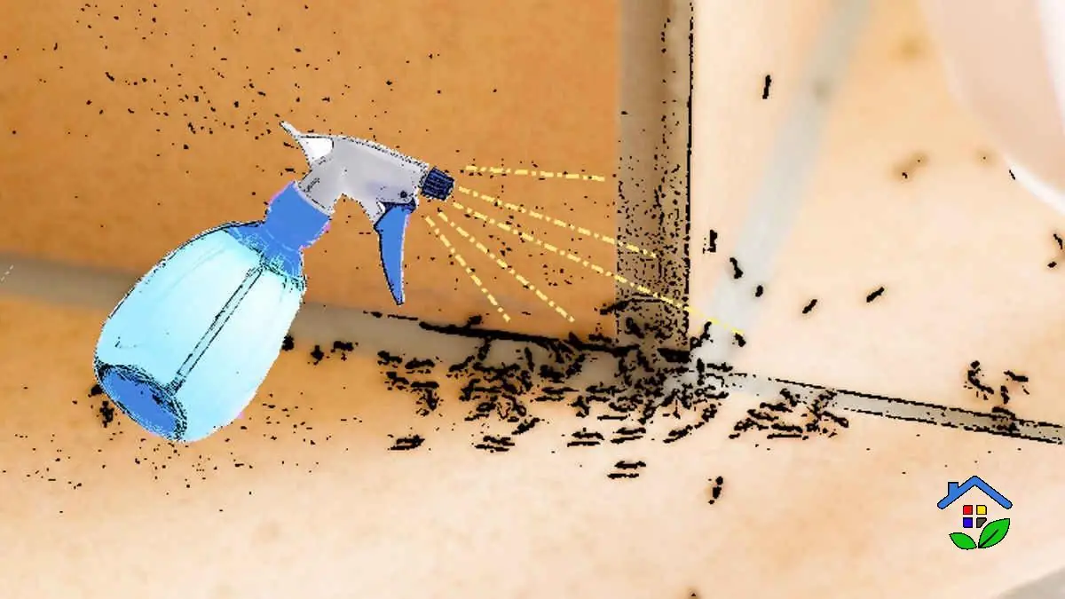 Natural Ant Repellents: Get Rid Of Ants Without Using Harmful Chemicals