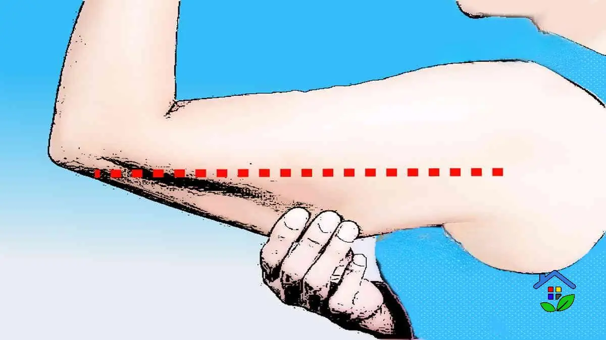 Arm Fat Vanisher: 6 Exercises for Sleek and Toned Arms!