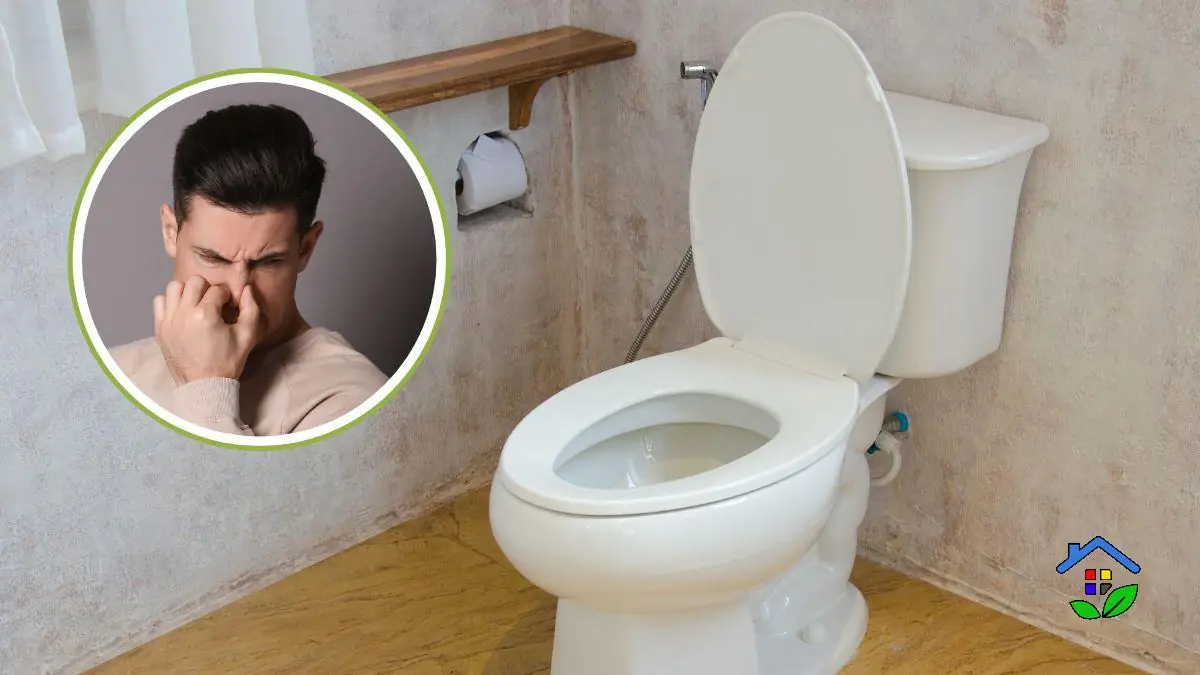 Say Goodbye to Bad Bathroom Odors with This Natural Trick