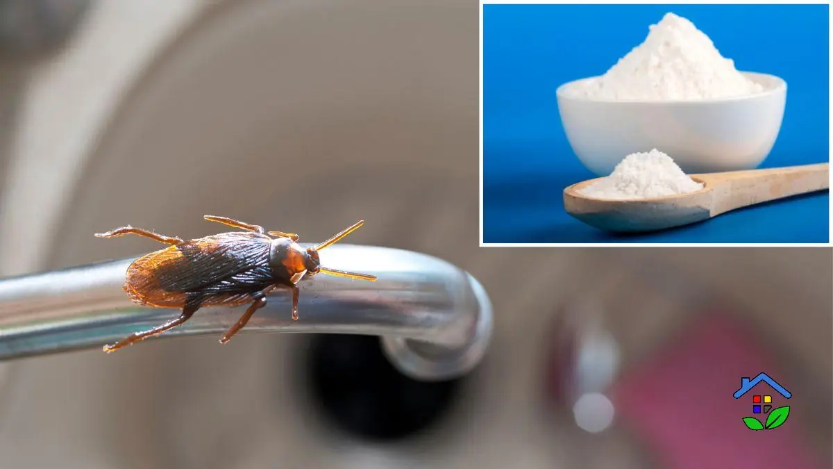 Natural Home Tip: Baking Soda to Repel and Eliminate Pests