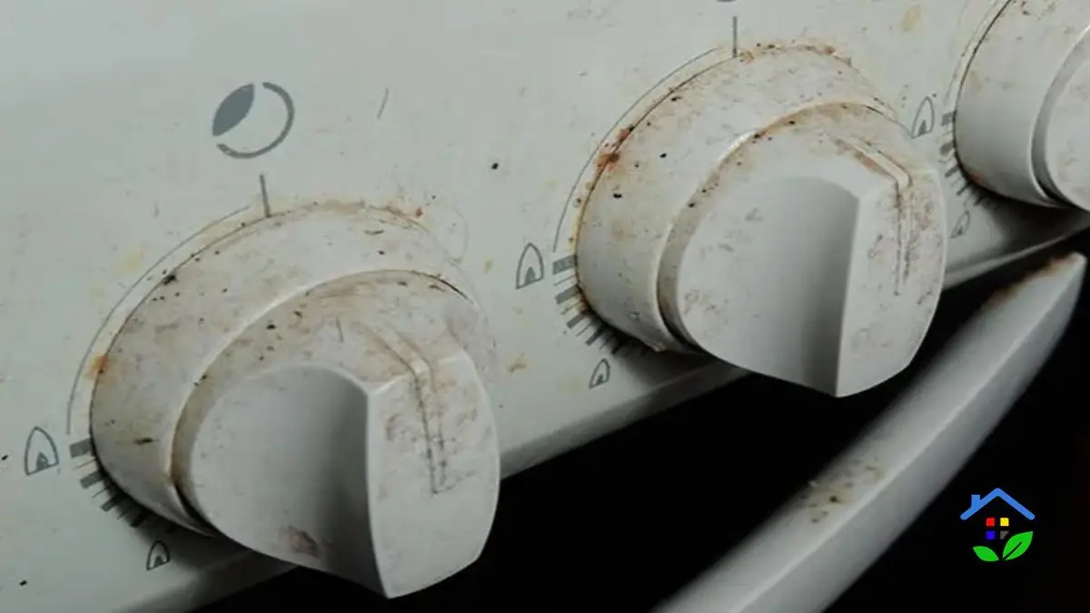 Gleaming Grease: Use These 5 Hacks to a Clean Kitchen