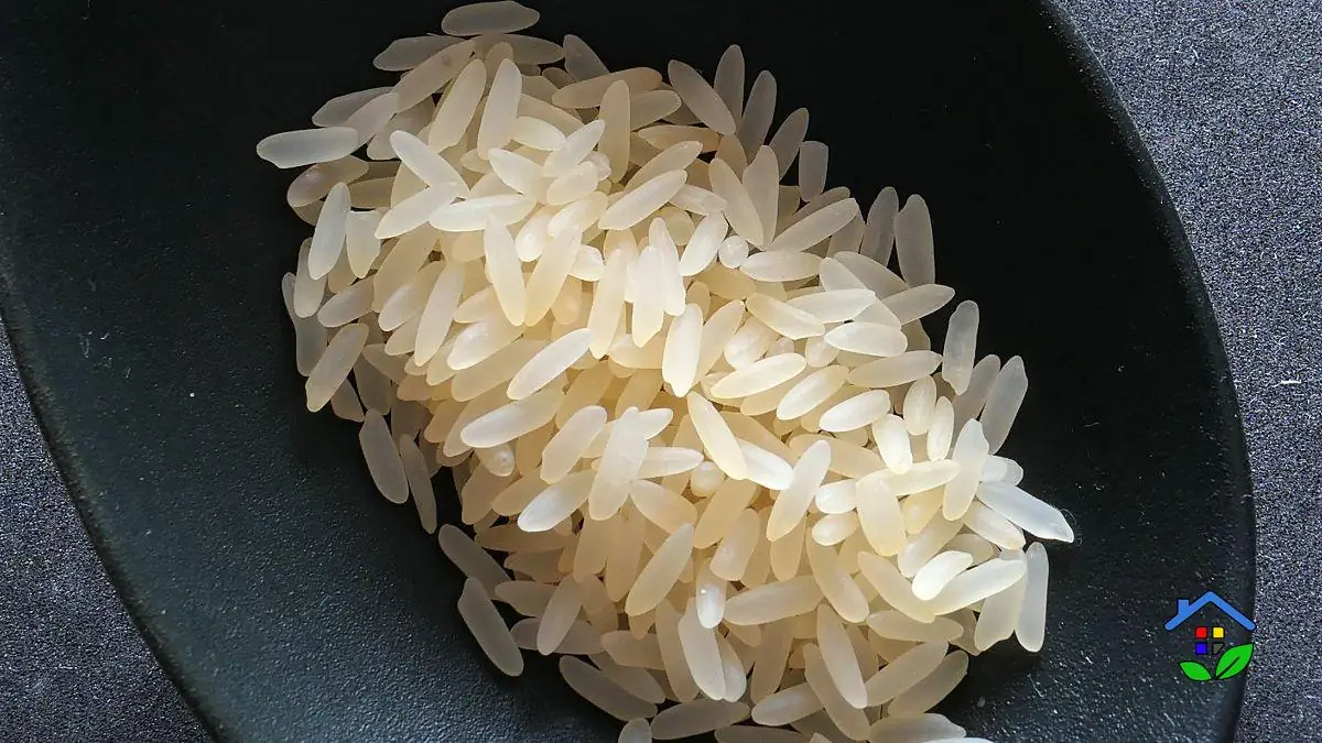 How to Detect Plastic Rice: A Complete Guide to Spot the Fake from the Real