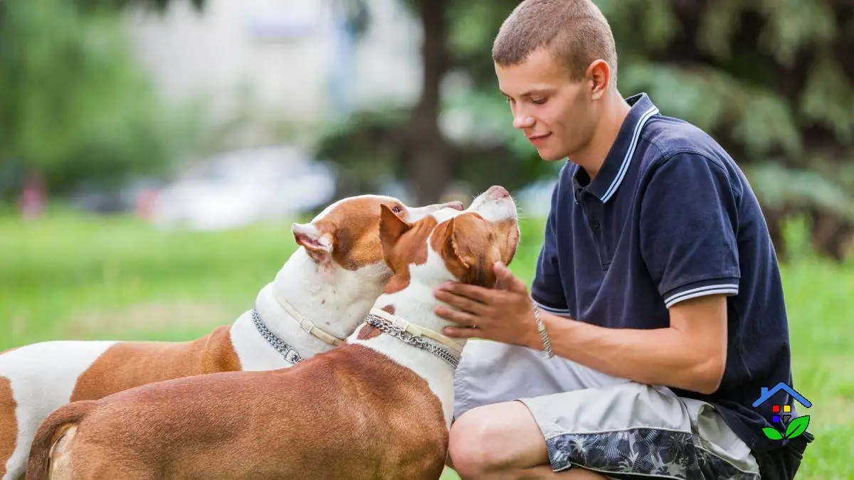 Can Dogs Sense People’s True Intentions? The Science Behind Canine ...