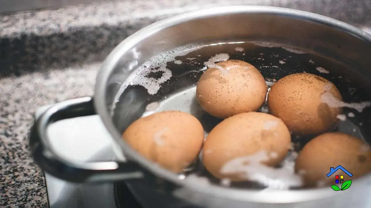 Flip Your Game: 3 Tips to Avoid Egg Cooking Fails