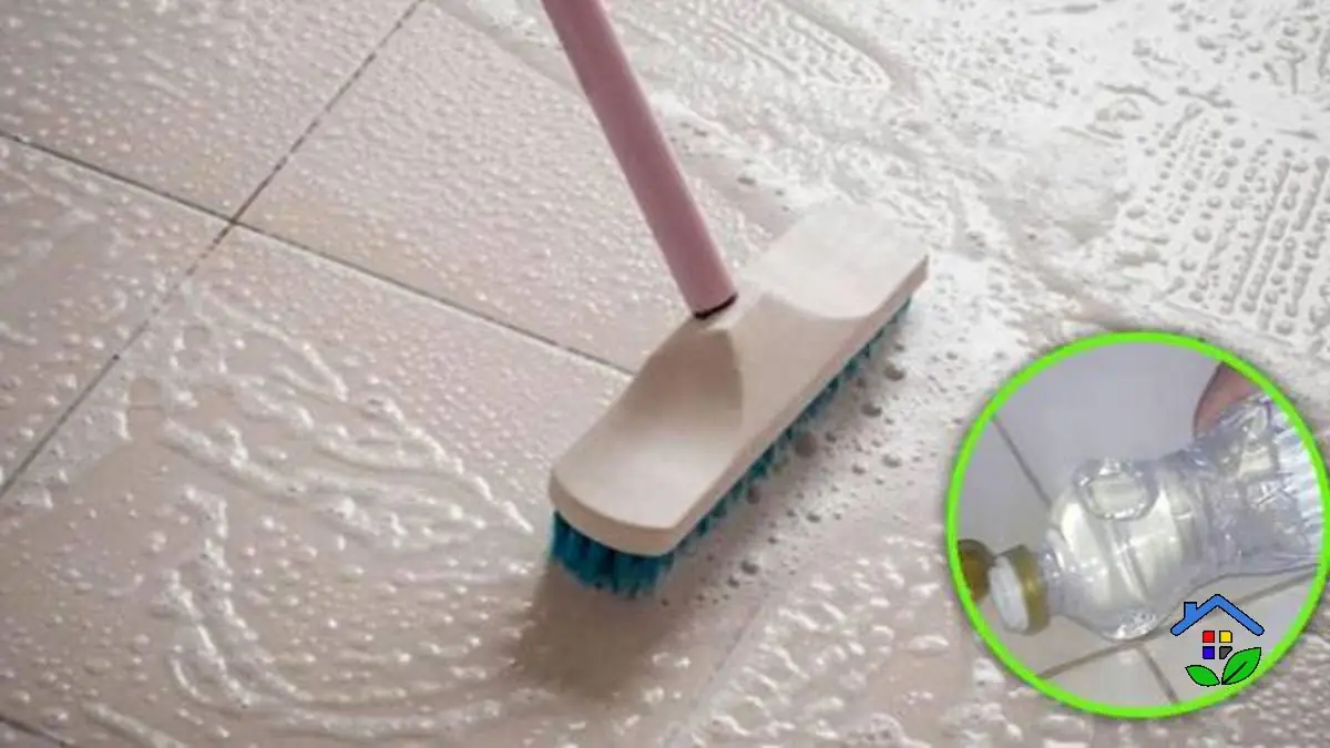 Streak-Free Sparkle: A Guide to Cleaning and Shining Floors