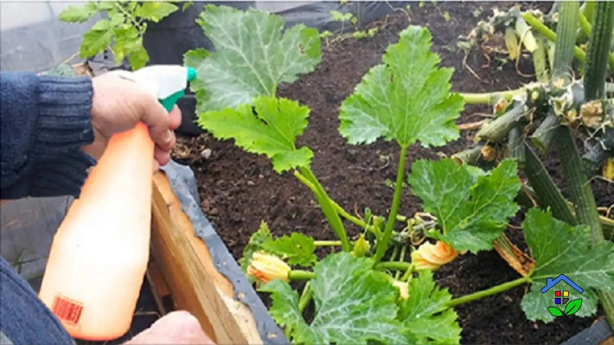 Control Garden Pests with These 7 Natural Remedies