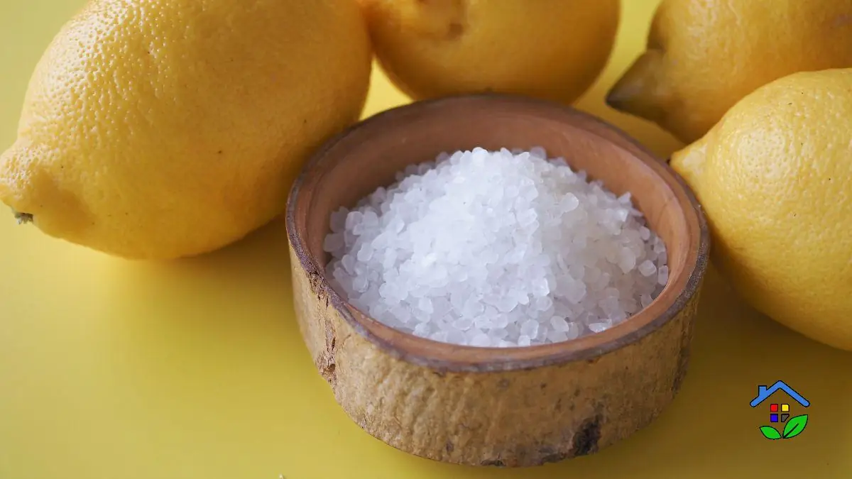 Lemon and Salt: A Natural Air Freshening Hack for a Healthier Bedroom