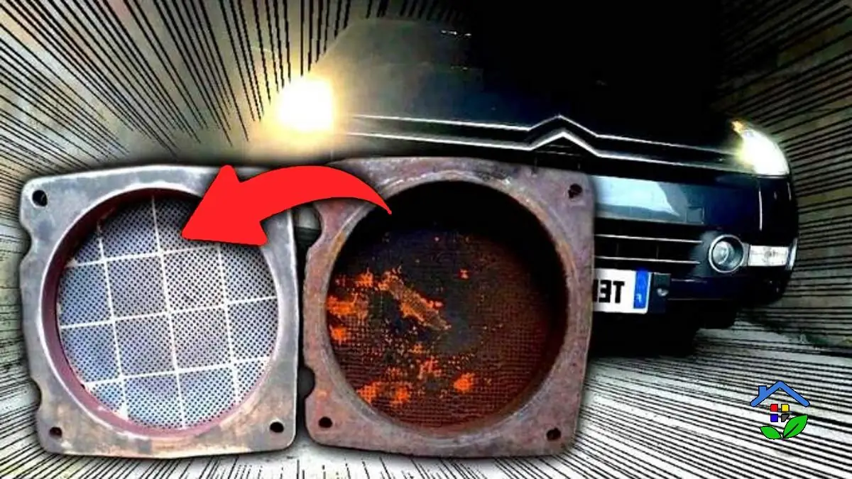 Don't Let Your Engine Suffocate: Simple Steps to Clean Your Particulate ...