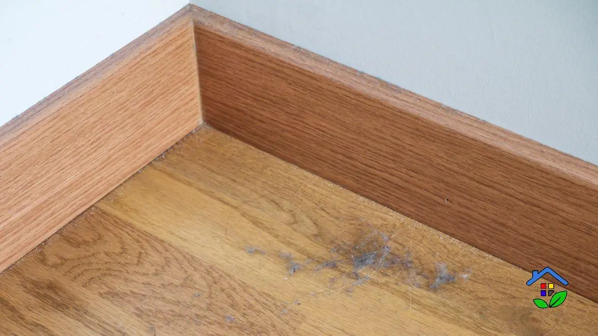 Practical Guide To Dusting Forgotten Corners