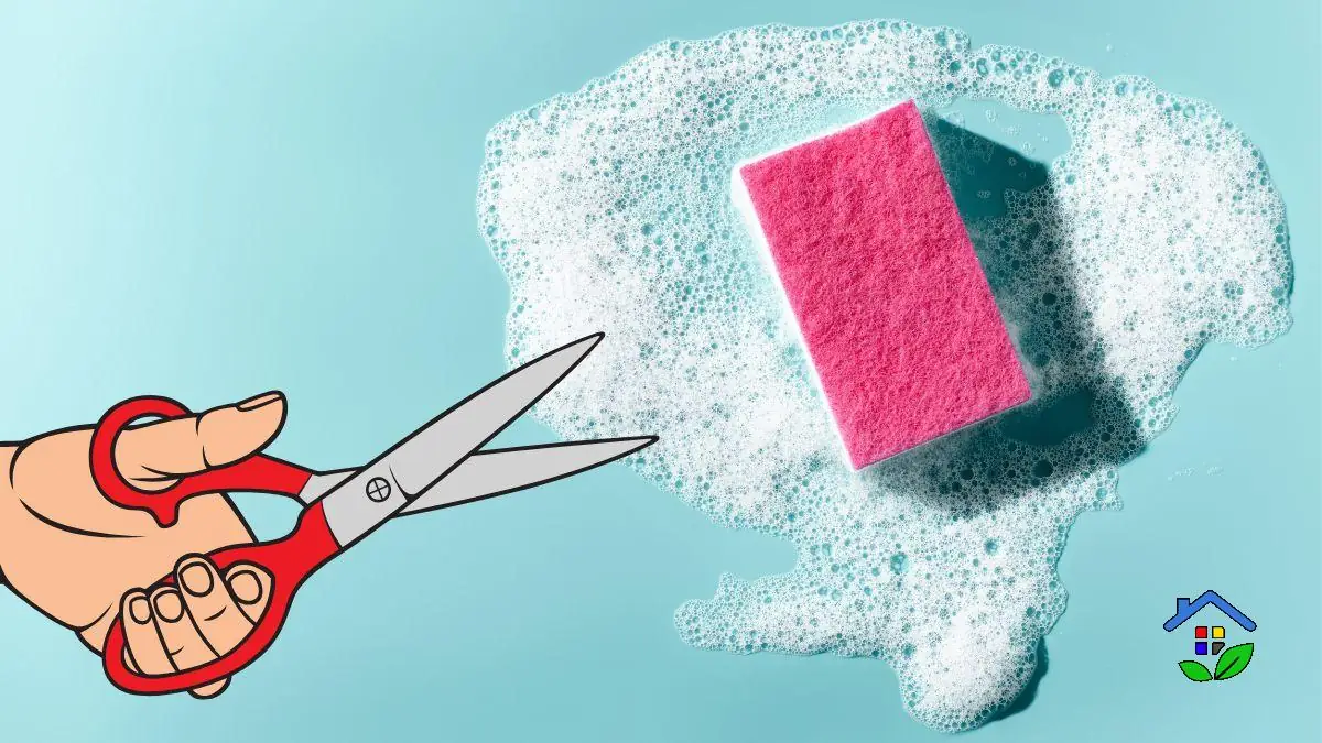 Why Should You Cut the Corner of a Sponge? The Surprisingly Smart ...