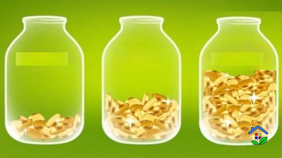 Monthly Money-Savings: 2 Essential Rules