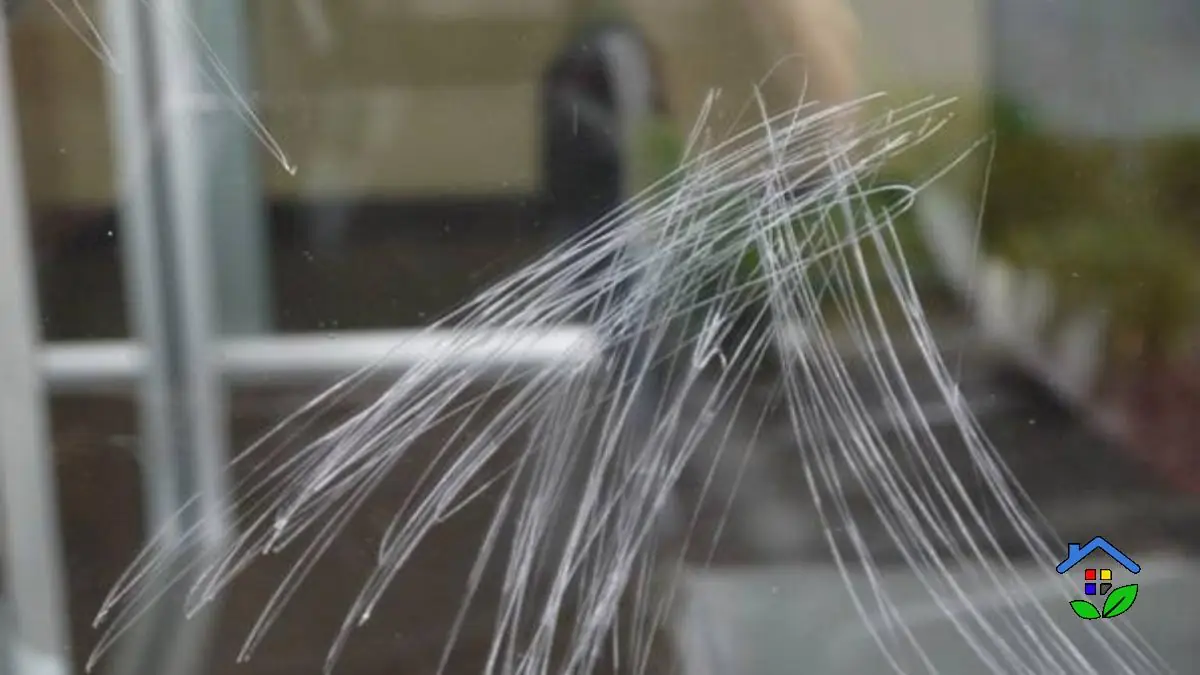 Scratch Vanish: 4 Solutions to Restore Window and Glass Beauty