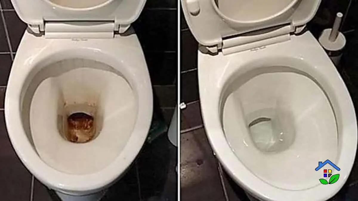 Toilet-Tidying Secrets: 7 Tips Passed Down by Grandma