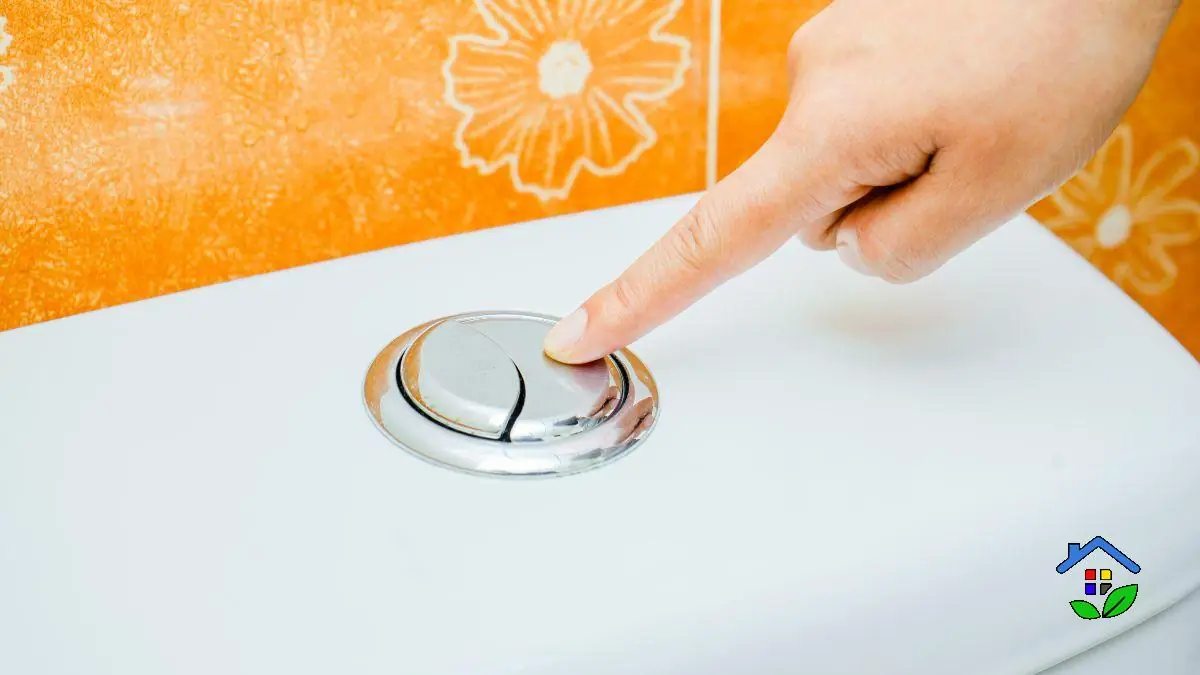 What Are the Two Toilet Flush Buttons For? Most People Don’t Know This!