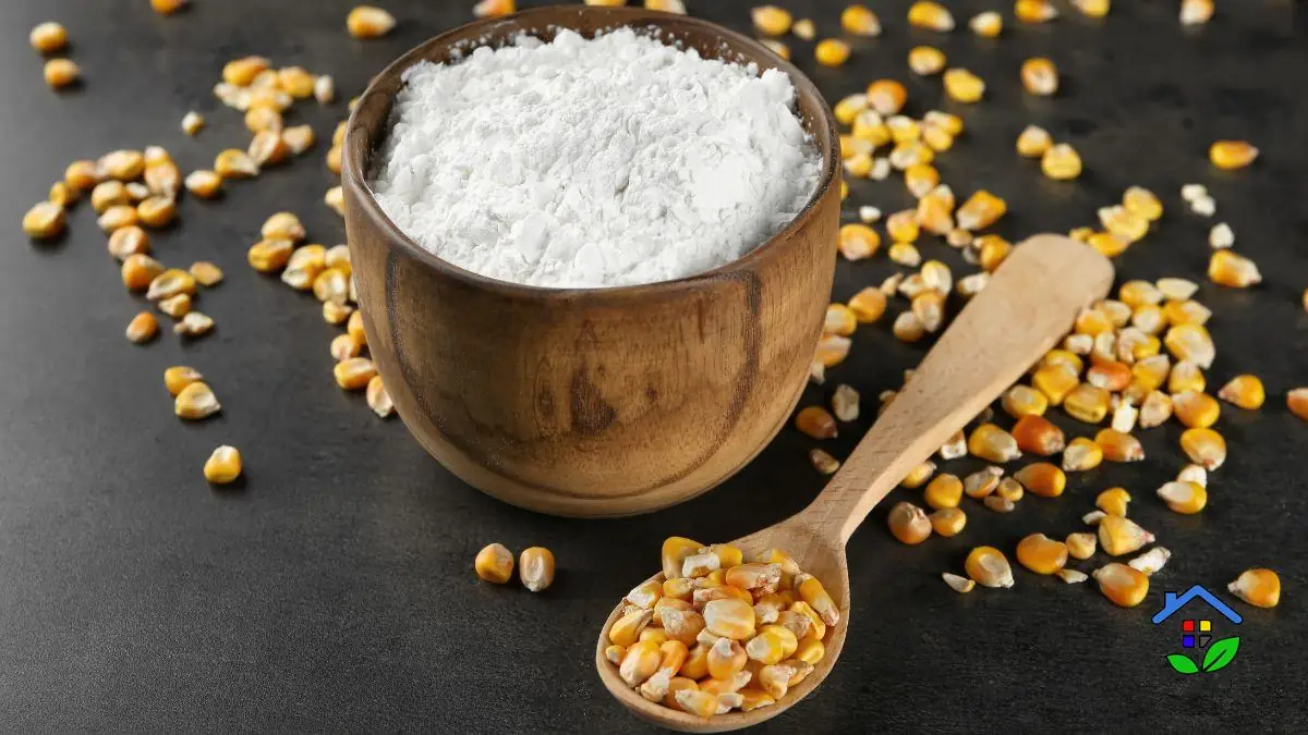 9 Surprising Uses of Cornstarch You Never Knew About