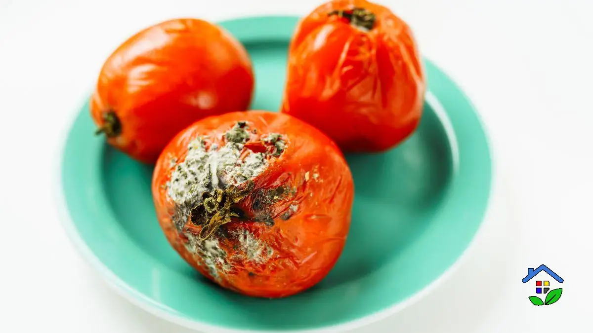 4 Surprising Uses for Overripe Tomatoes You Should Know About