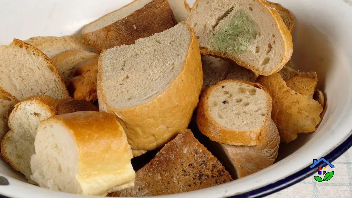 5 Ways to Use Stale Bread Instead of Throwing It Away
