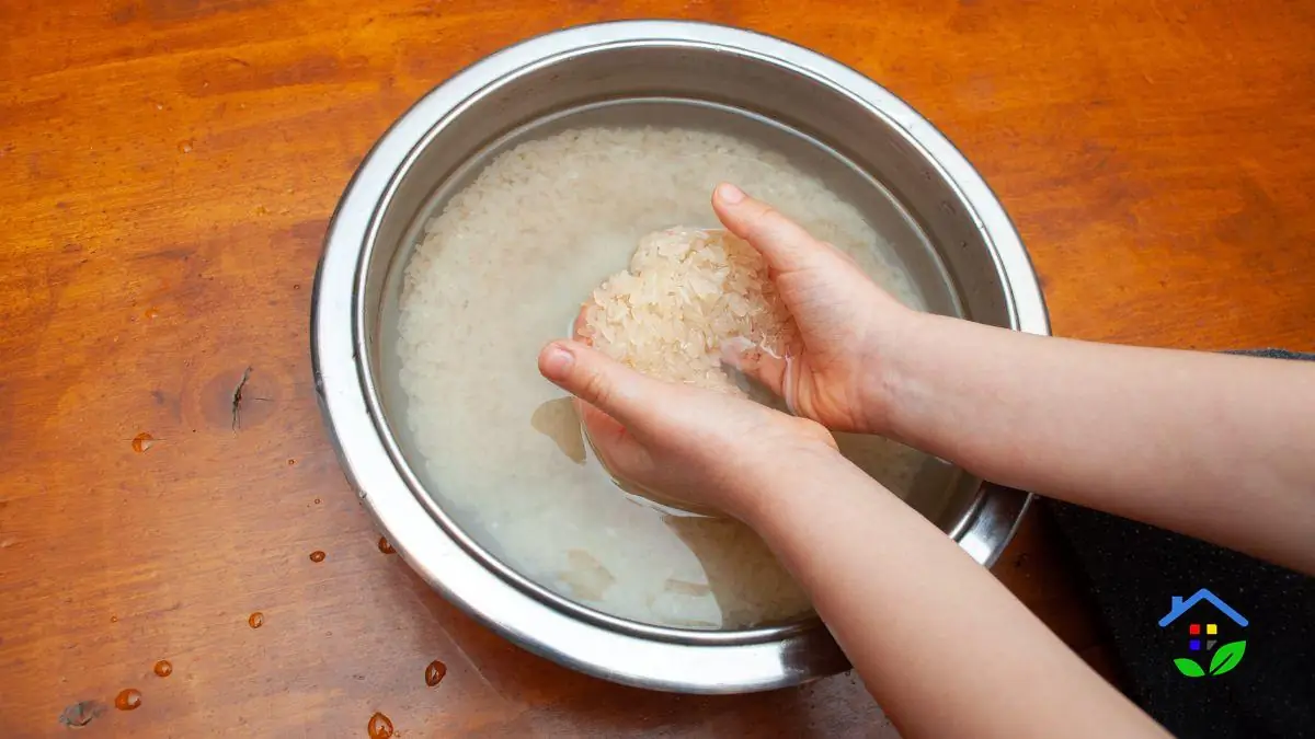 Should You Wash Rice Before Cooking?