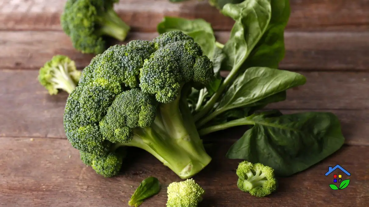Zero-Sugar Vegetables: The Ultimate Healthy Eating Guide
